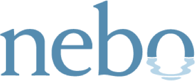 Leadership Development | Leadership Coaching | The Nebo Company